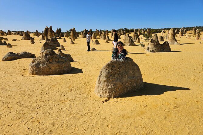 Pinnacle Day Adventure Tour - A Charming Break at Cervantes with Seafood Delights