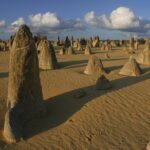 Pinnacles and Swan Valley Day Tour - Authentic Traveler Insights