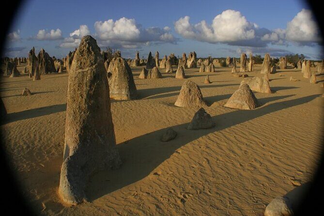 Pinnacles and Swan Valley Day Tour - Authentic Traveler Insights