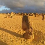 Pinnacles Day Tour - Final Thoughts: Is This Tour Right for You?
