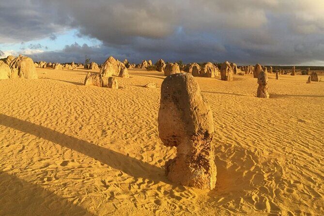 Pinnacles Day Tour - Final Thoughts: Is This Tour Right for You?
