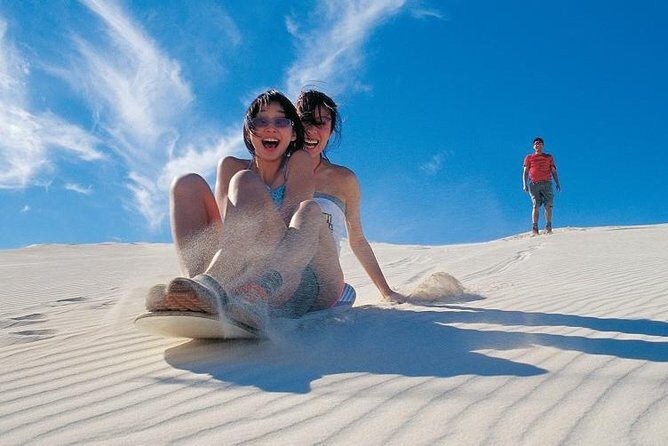 Pinnacles Desert, Koalas and Sandboarding 4WD Day Tour from Perth - Analyzing the Value and Practicalities