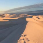 Pinnacles Desert Private Tour - An in-depth look at the Pinnacles Desert Private Tour