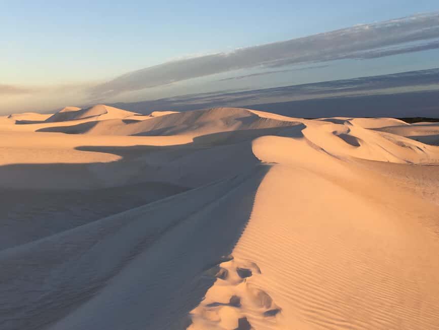 Pinnacles Desert Private Tour - An in-depth look at the Pinnacles Desert Private Tour