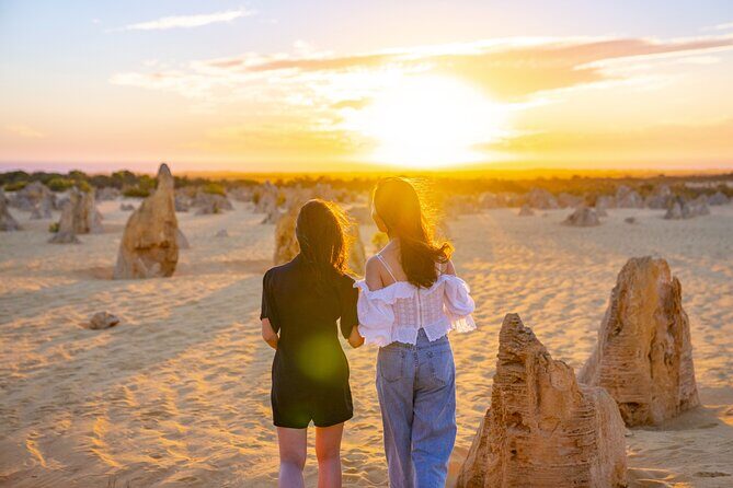 Pinnacles Desert Sunset and Stargazing Adventure Tour - Potential Drawbacks and Considerations