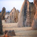 Pinnacles Desert, Yanchep and Swan Valley with Lunch - Who Should Consider This Tour?
