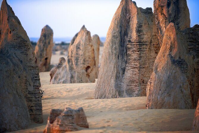 Pinnacles Desert, Yanchep and Swan Valley with Lunch - Who Should Consider This Tour?