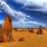 Pinnacles, Koalas & Sandboarding Tour Day Trip from Perth - Value for Money and Practical Considerations