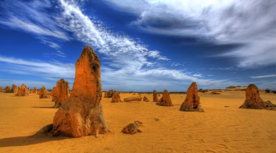 Pinnacles, Koalas & Sandboarding Tour Day Trip from Perth - Value for Money and Practical Considerations