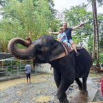 Pinnawala & Kandy Day Tour from Colombo or Negombo - The Practical Side: Transportation, Cost, and Timing