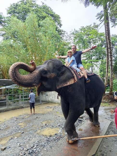 Pinnawala & Kandy Day Tour from Colombo or Negombo - The Practical Side: Transportation, Cost, and Timing