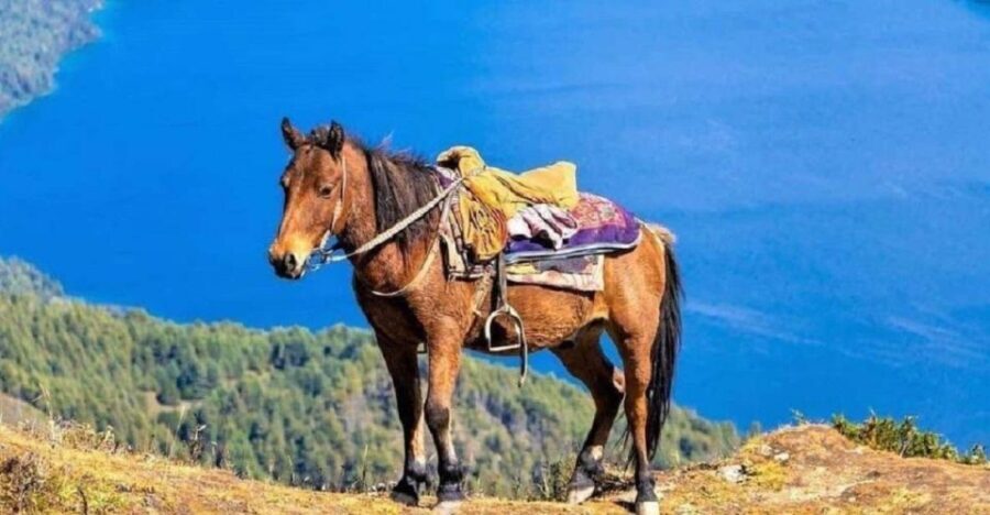 Pokhara: 1-Hour Horseback Ride with Hotel Pickup - Practical Tips for Booking and Enjoying Your Ride
