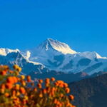 Pokhara: 2 days guided Poon Hill Trek - Authentic Experiences and Traveler Feedback