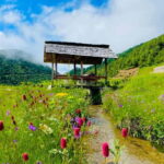 Pokhara: 3-day Kushma, Beni & Dhorpatan Hunting Reserve Tour - What’s Included and What to Expect
