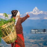 Pokhara: Begnas Lake Hike - The Itinerary: What to Expect