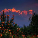 Pokhara : Day Hike To Australian Base Camp with Lunch - A Closer Look at the Itinerary