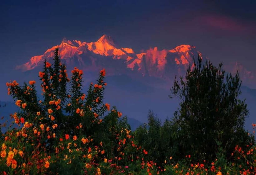 Pokhara : Day Hike To Australian Base Camp with Lunch - A Closer Look at the Itinerary