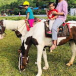 Pokhara: Horseback Riding Adventure with Hotel Pickup - Authentic Experiences and Real-World Feedback