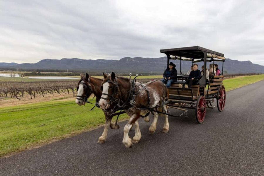 Pokolbin: Harvest the Hunter Horse Drawn Carriage Tour 3hrs - Who Will Enjoy This Tour?