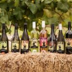 Pokolbin: Hunter Valley Half-Day Tour with Cheese and Wine - The Wineries and Tastings