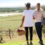 Pokolbin: Picnic & Wine Tasting at Audrey Wilkinson Vineyard - Practical Details and What They Mean for You