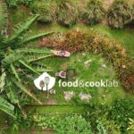 Polynesian culinary experience - Frequently Asked Questions
