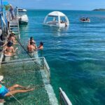 Ponton Day Trip SWIM with Turtles All meals included & Transport - Who Should Consider This Tour?