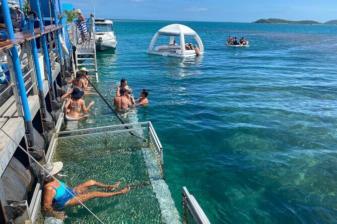 Ponton Day Trip SWIM with Turtles All meals included & Transport - Who Should Consider This Tour?