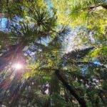 *Popular Tour* - Bay of Islands: Nature Adventure Tour - What to Expect from the Tour