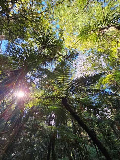 *Popular Tour* - Bay of Islands: Nature Adventure Tour - What to Expect from the Tour
