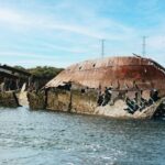 Port Adelaide: Dolphin and Ships Graveyard Cruise - What We Loved About the Tour