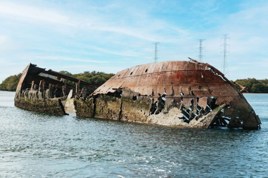 Port Adelaide: Dolphin and Ships Graveyard Cruise - What We Loved About the Tour