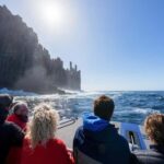 Port Arthur: Cape Raoul Wilderness Cruise - An In-Depth Look at the Experience