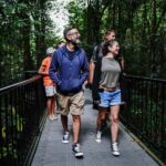 Port Douglas: Afternoon Daintree Tour w/ Wildlife Cruise - Authentic Experiences and Tour Highlights