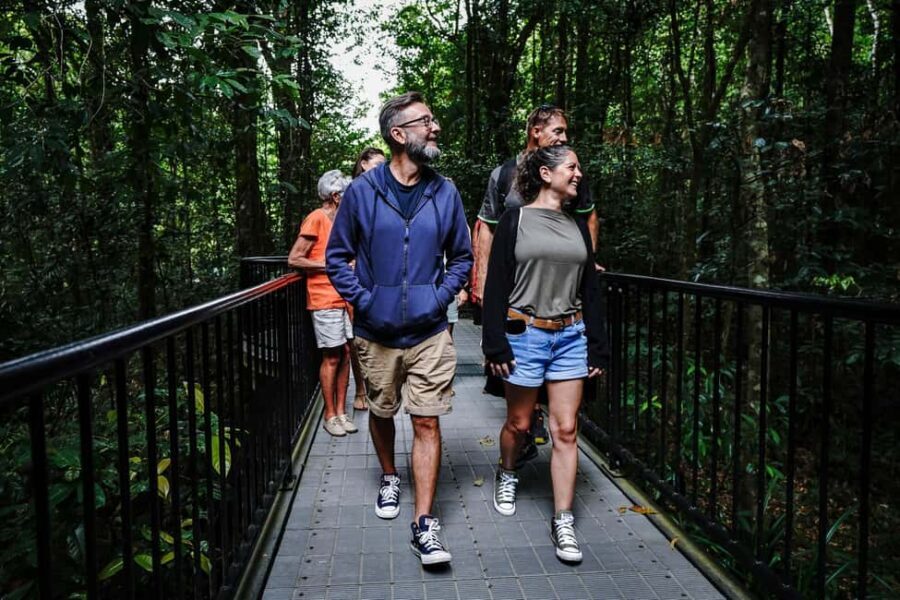 Port Douglas: Afternoon Daintree Tour w/ Wildlife Cruise - Authentic Experiences and Tour Highlights