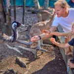 Port Douglas: Breakfast with the Birds - Wild Encounters and Educational Highlights