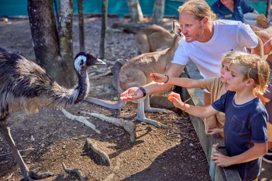 Port Douglas: Breakfast with the Birds - Wild Encounters and Educational Highlights