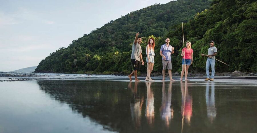 Port Douglas: Daintree Cultural Tour with Hotel Pickup - What to Expect: The Journey in Detail