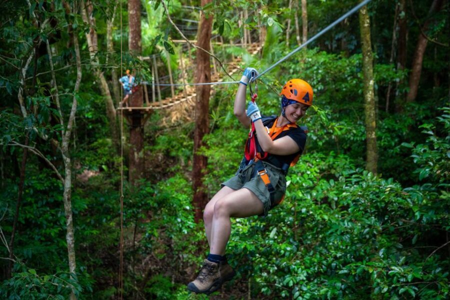 Port Douglas: Daintree National Park Tour, Cruise, & Zipline - What’s Included and What’s Not
