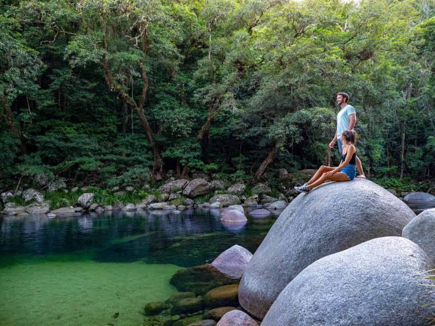 Port Douglas: Daintree Rainforest and Cape Tribulation Tour - Why the Value Adds Up