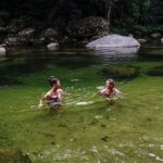 Port Douglas & Daintree Tour for Cruise Ship Passenger - What to Expect: The Experience on the Ground