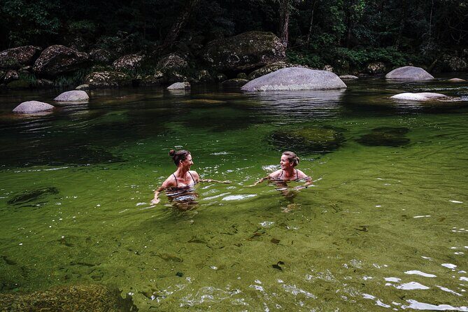 Port Douglas & Daintree Tour for Cruise Ship Passenger - What to Expect: The Experience on the Ground