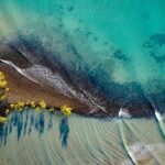 Port Douglas Day Tour from Cairns - Who Will Love This Tour?