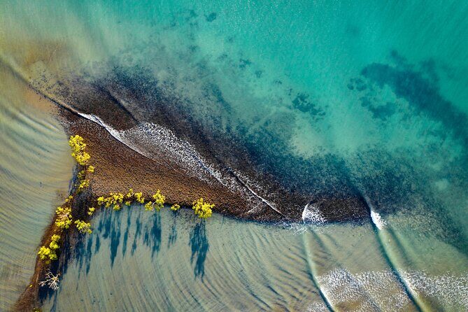 Port Douglas Day Tour from Cairns - Who Will Love This Tour?