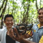 Port Douglas: Full Day Daintree Cultural Tour with Lunch - What You Can Expect