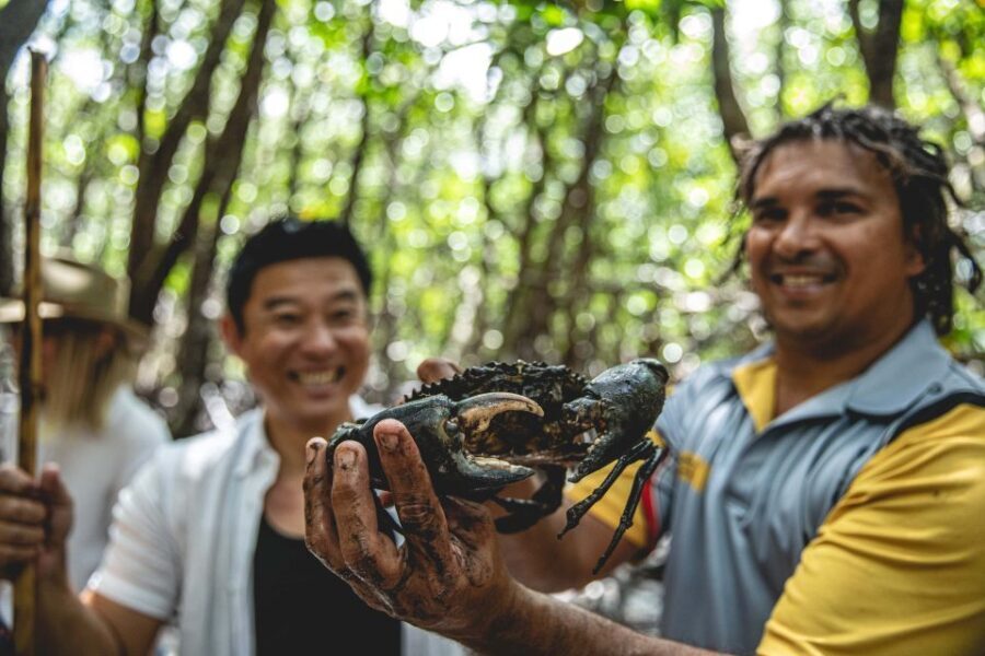 Port Douglas: Full Day Daintree Cultural Tour with Lunch - What You Can Expect