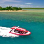 Port Douglas: Half-Day Low Island and Lagoon Snorkeling Tour - The Logistics and Group Size