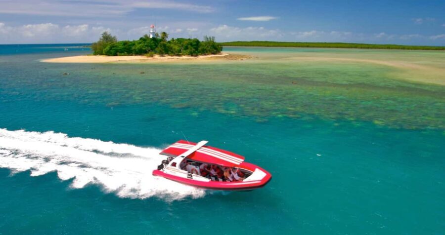 Port Douglas: Half-Day Low Island and Lagoon Snorkeling Tour - The Logistics and Group Size