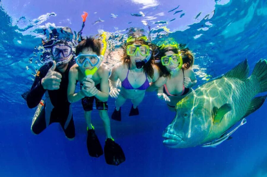 Port Douglas: Just 12 Passengers Guided Snorkel Reef Cruise - What Makes This Tour Special?