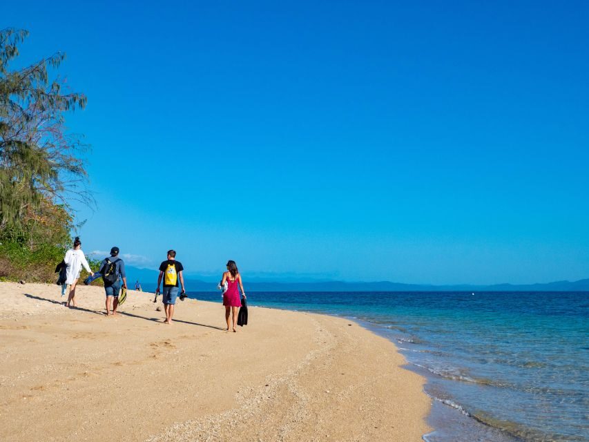 Port Douglas: Low Isles Glass Bottom Boat & Snorkeling Tour - Setting the Scene: What to Expect